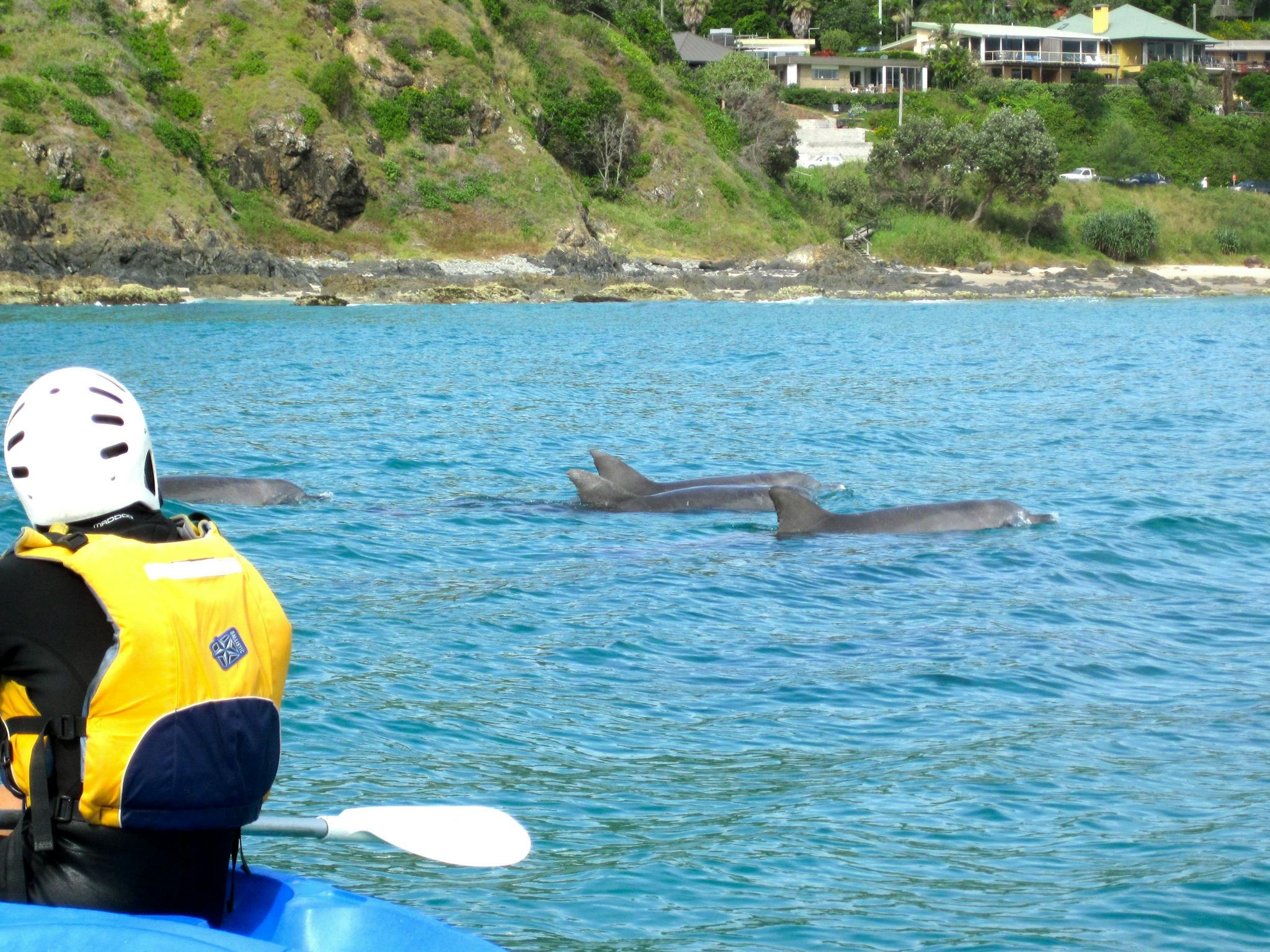 Go Sea Kayak Byron Bay | Byron Bay