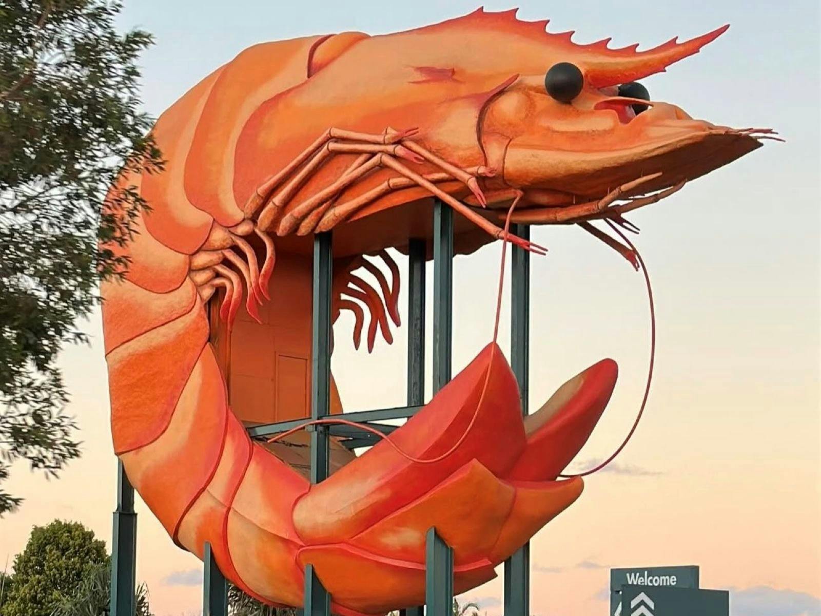 Big Prawn | West Ballina